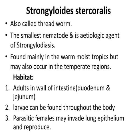 Strongyloides_stercoralis.ppt