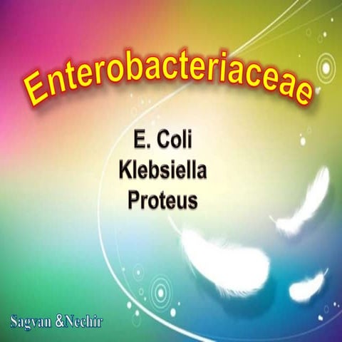 enterobacteracae | PPTX