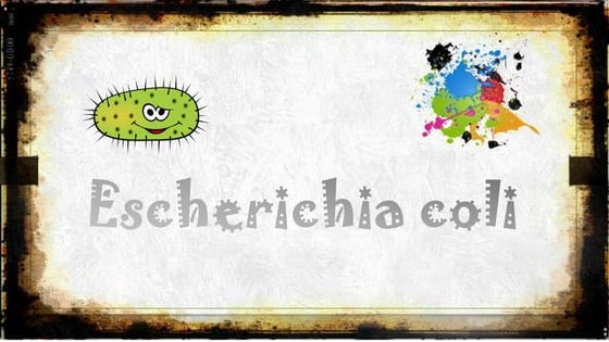 E. coli | PPTX | Digestive Disorders | Diseases and Conditions