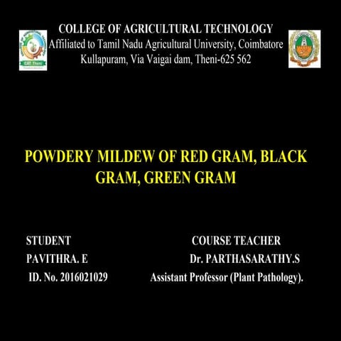 powdery mildew of red gram, black gram, green gram | PPTX