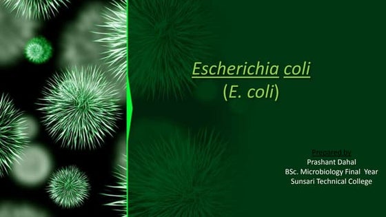 E. coli | PPT