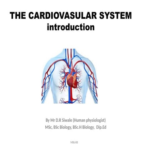 E.The Cardiovascular system INTRO.pptx p | PPTX