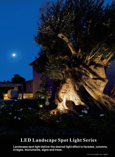 Lighting Schedule | PPT