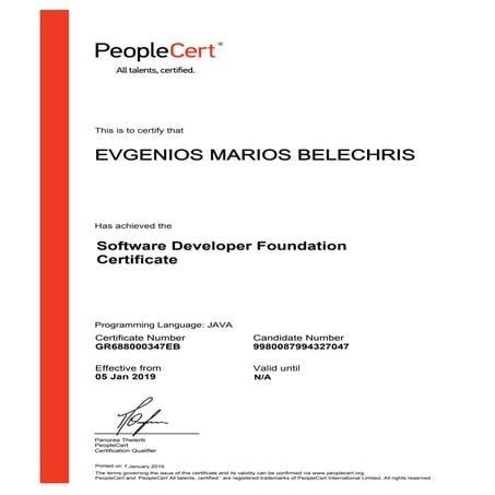 Software Developer Foundation - Programming Language: Java | PDF