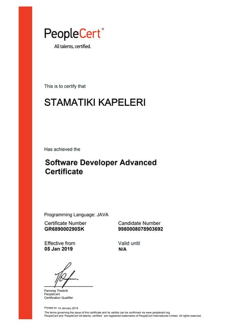 Software Developer Foundation Certificate | PDF