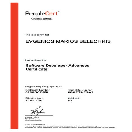 Software Developer Advanced - Programming Language: Java | PDF