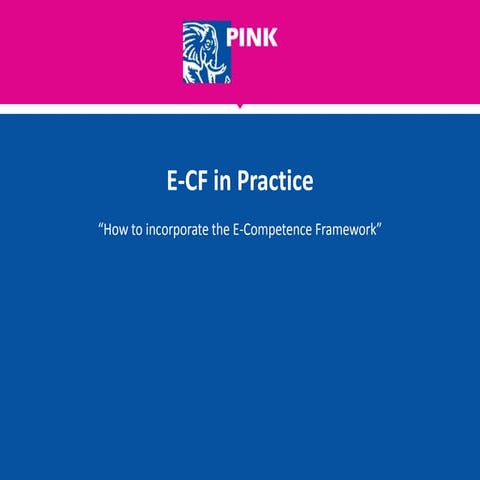 E-Competence Framework Implementation | PPTX | Human Resources | Business