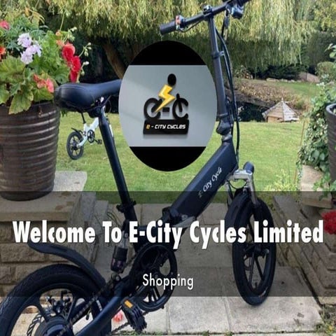 E city cycles limited presentation | PPTX