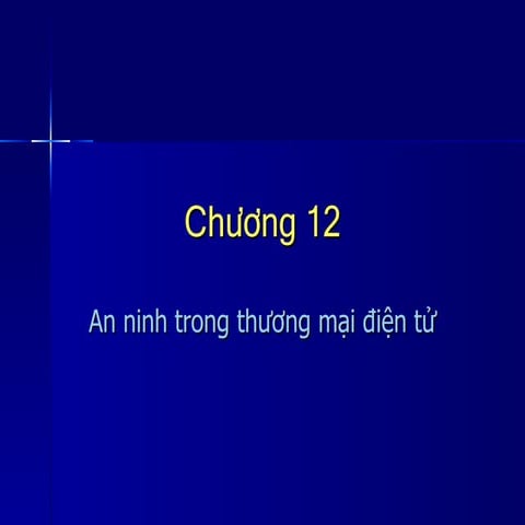 E Com Ch12 An Ninh Trong Thuong Mai Dien Tu | PPT
