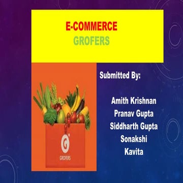 Grofers Digital Marketing | PPT