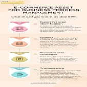 E-commerce asset for business process management.pdf