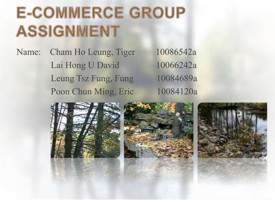 Assignment for e commerce | PDF