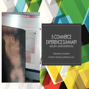 E commerce work experience summary | PPT
