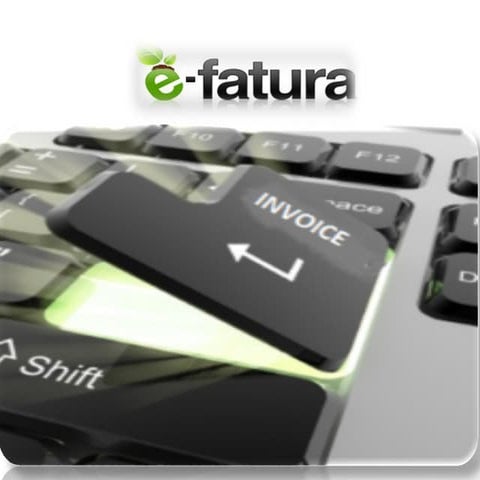 E-Fatura Sunum - E-Fatura | PDF