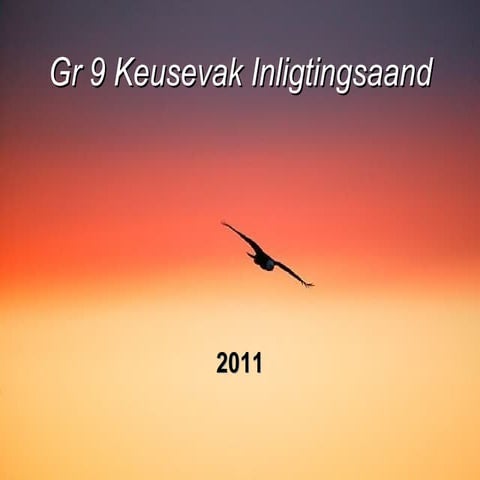 Graad 9 Vakkeuses | PPS