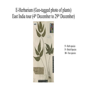 E-Herbarium (Geo-tagged photo of plants) East India tour (4th December ...