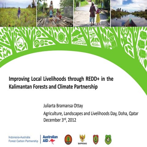 Improving local livelihoods through REDD+ in the Kalimantan forests and climate partnership | PPT