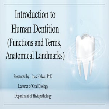 Introduction to Dental Anatomy | PDF