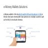 Best Ewallet Software Developer in USA | PPT