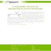 E-Polylysine: An Ally of Natamycin in Active Packaging
