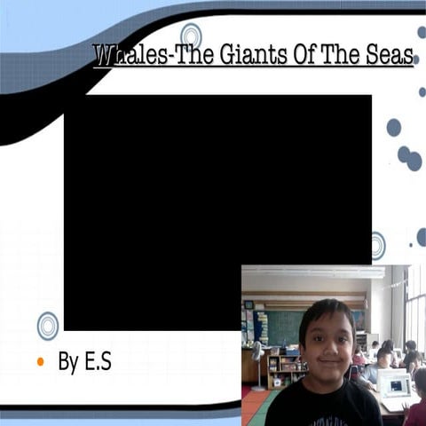 Whales | PPT