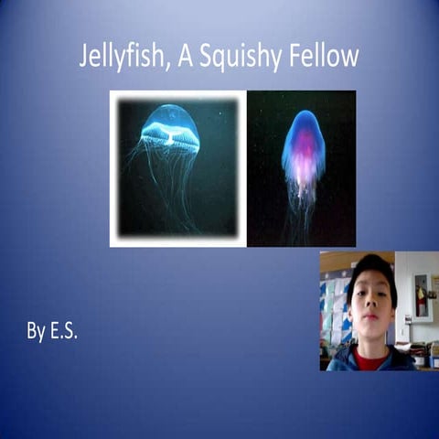 Jellyfish | PPTX