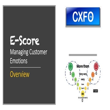 E score overview | PDF