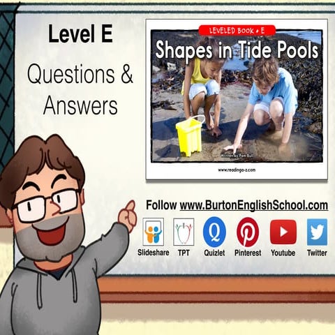 E - Shapes in Tide Pools | PPT