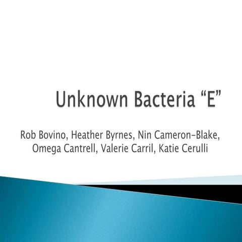 Identifying Unknown Bacteria Lab | DOCX