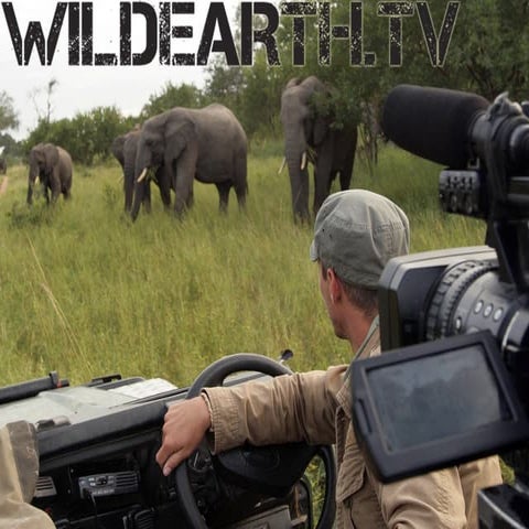 Wild Earth TV | PPT