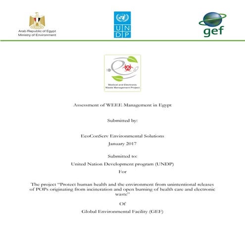 Assessment of WEEE Management in Egypt | PDF