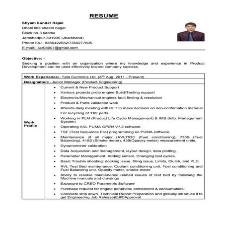 Shyam_CV_24.06.15 (1) | PDF