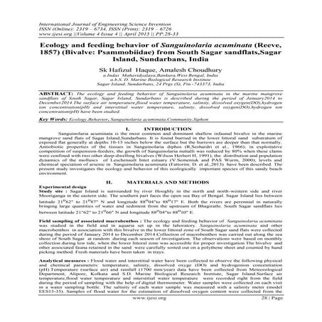 Ecology and feeding behavior of Sanguinolaria acuminata (Reeve, 1857 ...