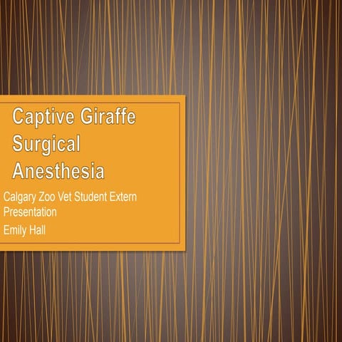 Giraffe Anesthesia Presentation-Emily Hall-2 | PPTX