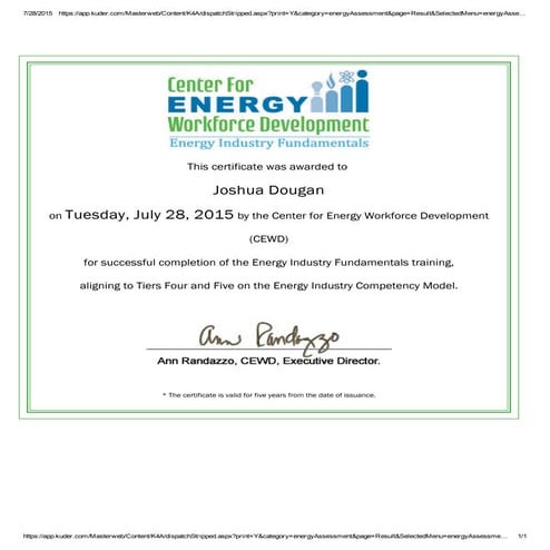 Energy Industry Fundamentals Certification | PDF