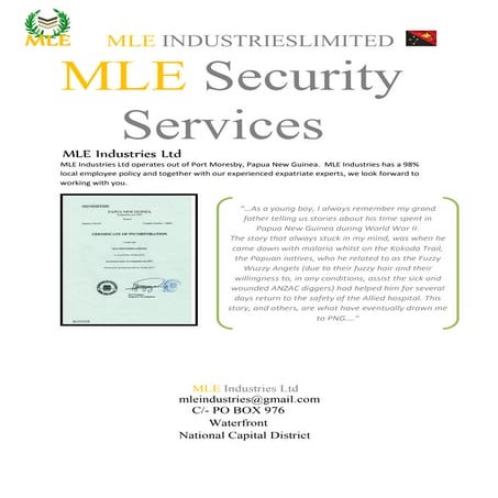 MLE Security Services PROFILE basic | PDF