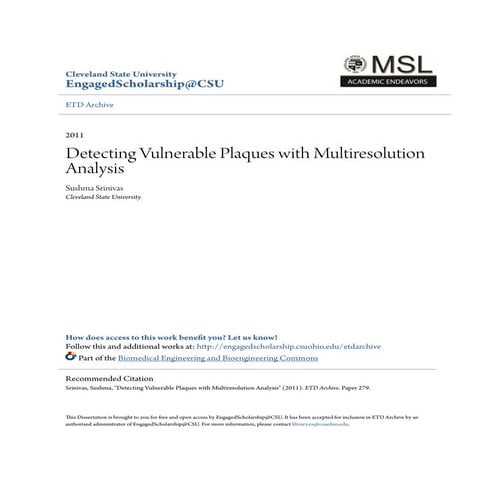 Detecting Vulnerable Plaques with Multiresolution Analysis | PDF