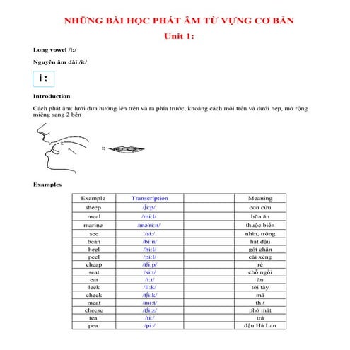 E 10 tong hop phonetics | PDF