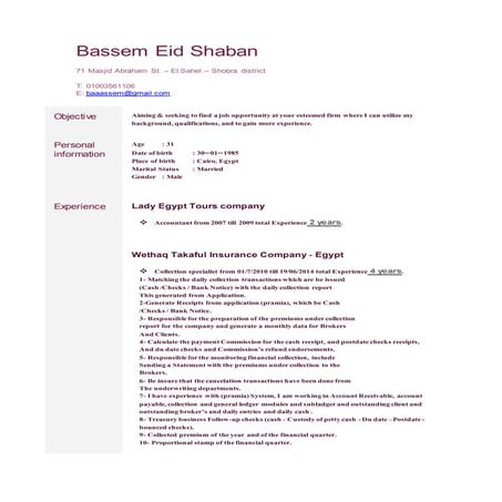 Bassem_ c.v 2017 | DOCX