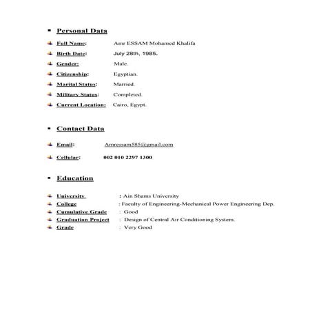 Amr Essam CV | PDF