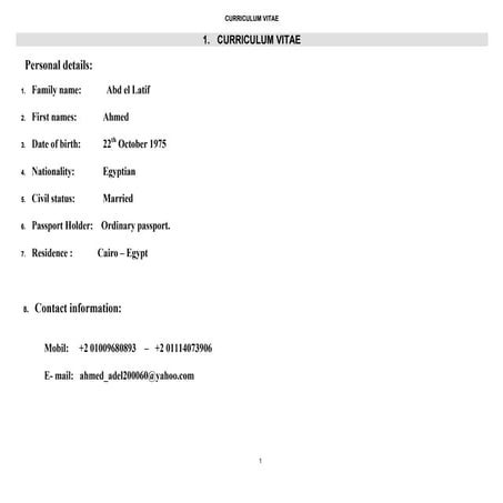 CV-EU-eng-template Ahmed Adel Ahmed (1) | PDF