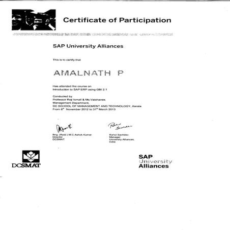 SAP Certificate | PDF