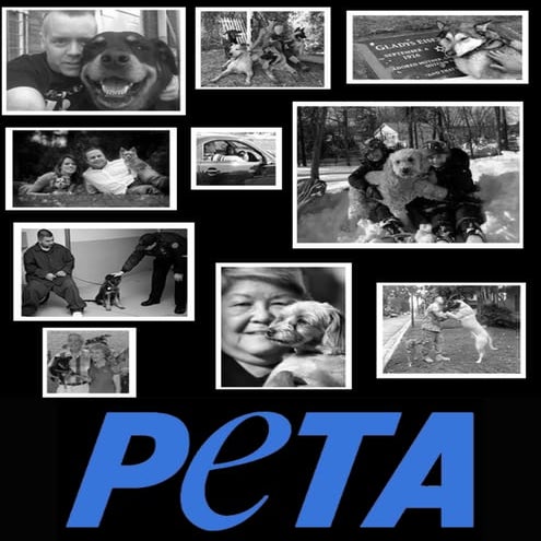 Peta1 | PDF