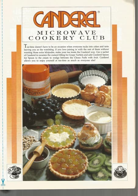 Article Springbok Magazine | PDF