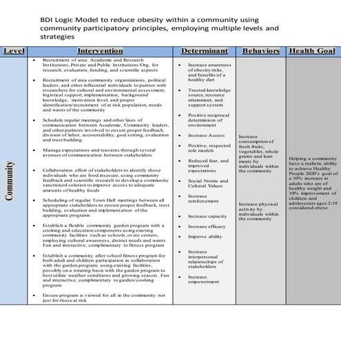 S.Banjoff BDI Logic Model 2.0 | DOCX