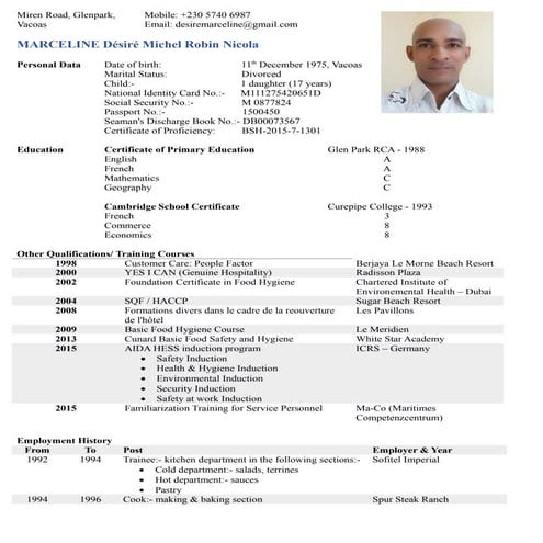 DMarceline 2016 cv | PDF