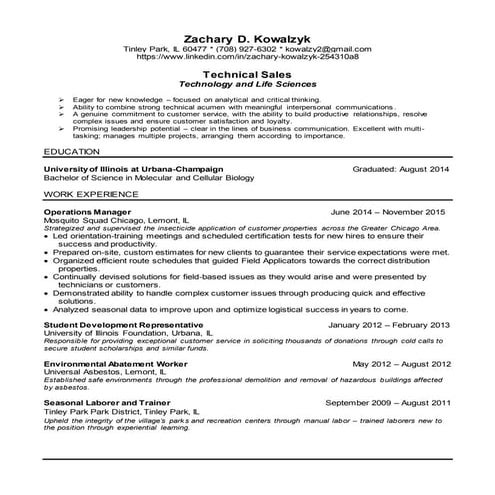 Professional Resume | DOCX