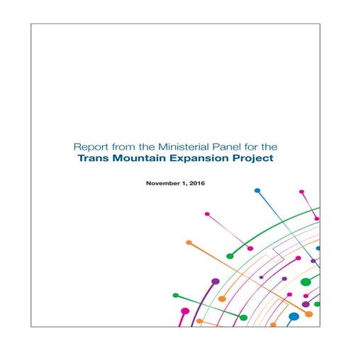 NGP Presentation_FINAL | PDF