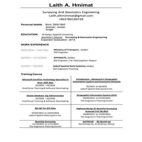 laith CV | DOCX