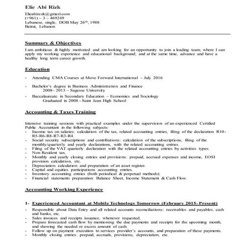 CV Elie Abi Rizk | PDF